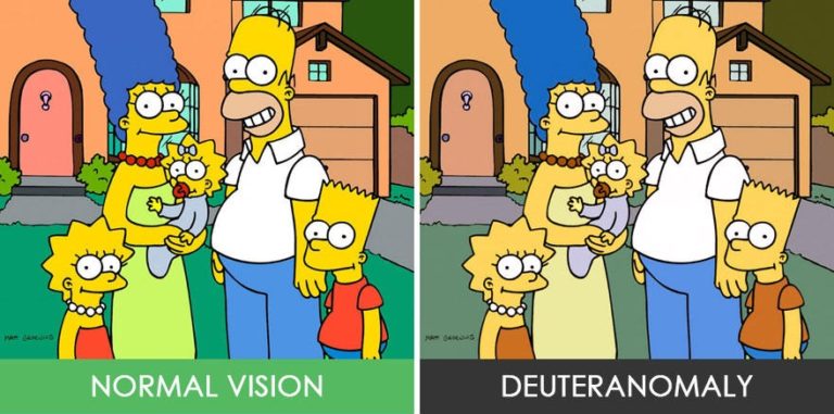 Cómo ven los daltónicos los colores (y cómo saber si eres daltónico)